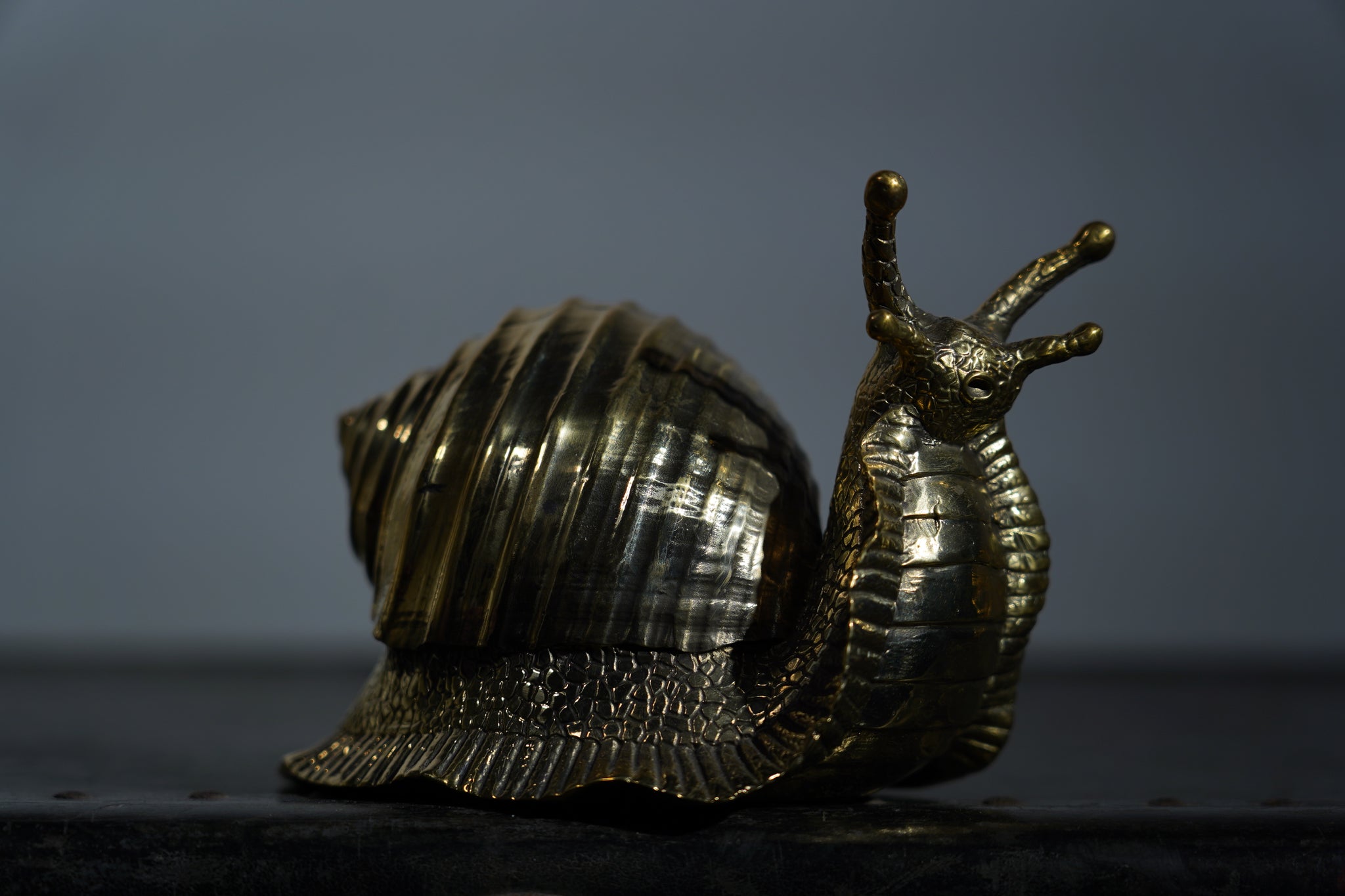 Strong Brass Golden Snail Sculpture Table Deco Available in 3 Styles – Vint-In-Haus